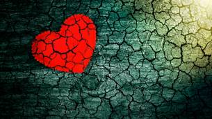 Kardiologische Erkrankungen, Erkrankungen am Herzen