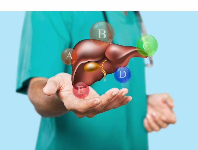 Hepatitisviren – was ist über Hepatitis F und G bekannt?
