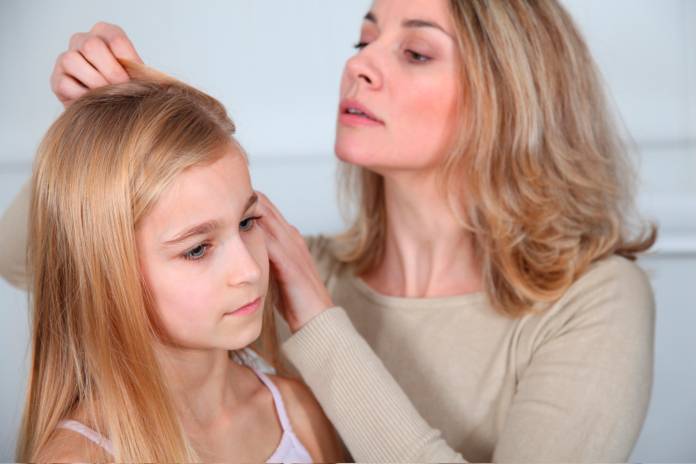 Kopfläuse » Verbreitung, Symptome, Behandlung