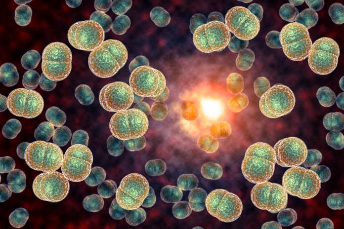 Mit welcher Inkubationszeit ist bei einer Meningitis zu rechnen?